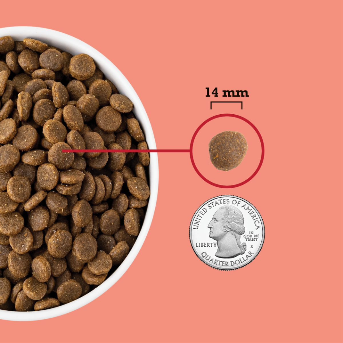Red Meat Recipe Dry Dog Food for Healthy Dogs | ACANA™