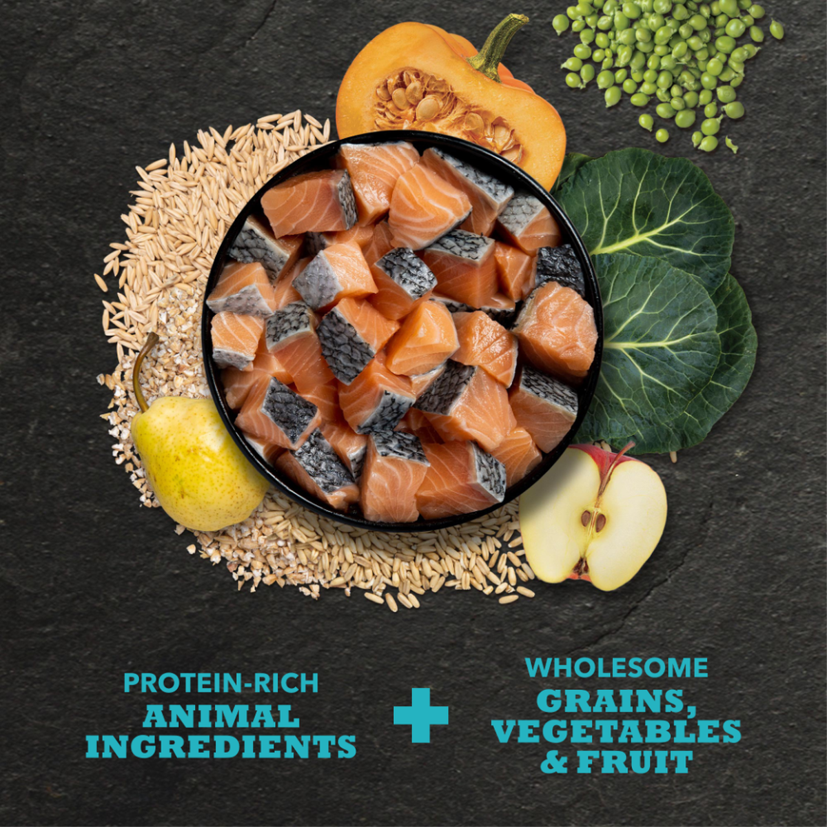 Salmon and Barley Dry Dog Food Recipe | ACANA™ USA