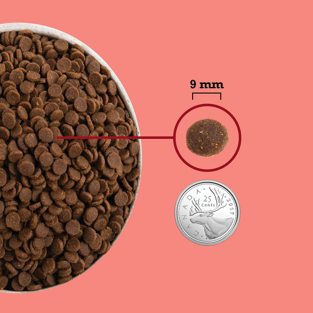 ACANA™ Highest Protein Indoor Food for Indoor Cats | ACANA Canada