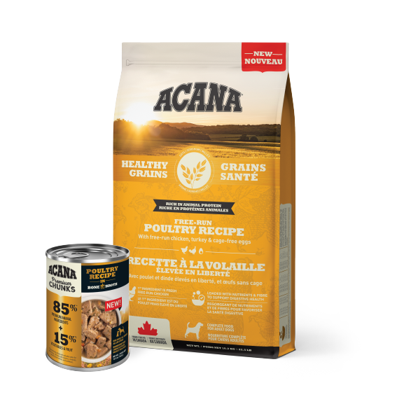 ACANA® Chunks: Premium Wet Dog Food | ACANA® USA
