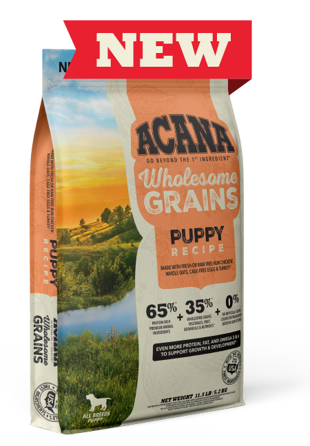 ACANA® Wholesome Grains: Best Grain Inclusive Dog Food | ACANA® USA