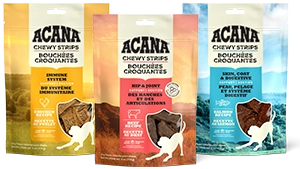 Premium & Nutritious Dog & Cat Food | ACANA CANADA