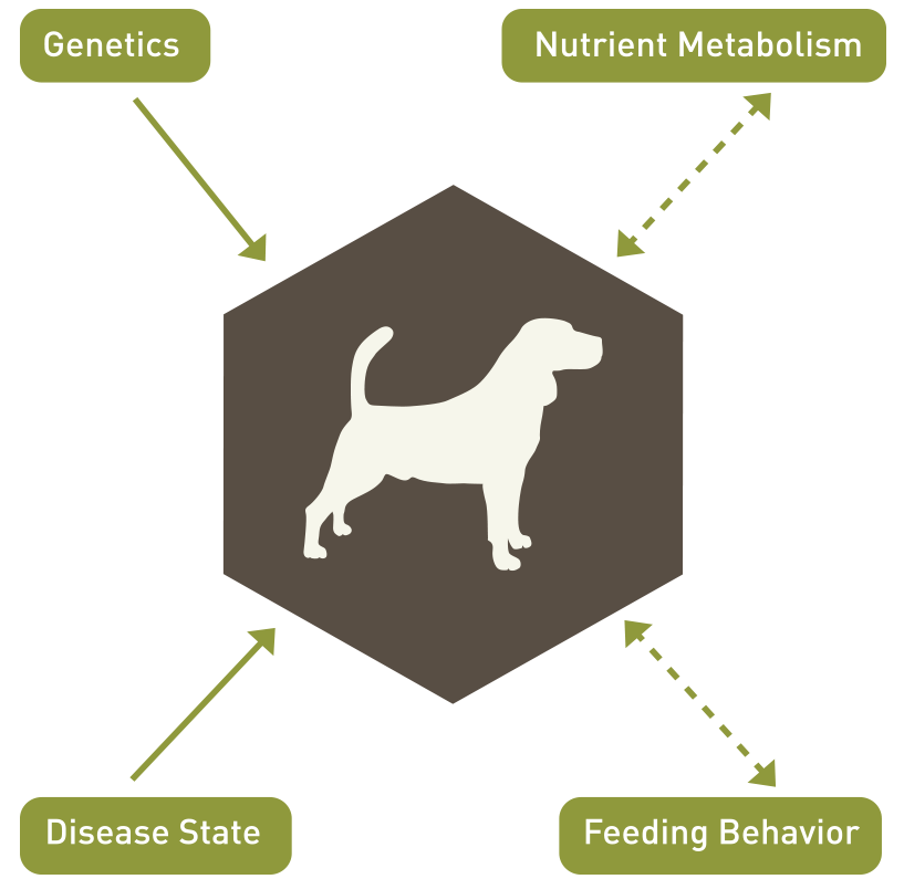 Making Sense of Dilated Cardiomyopathy (DCM)